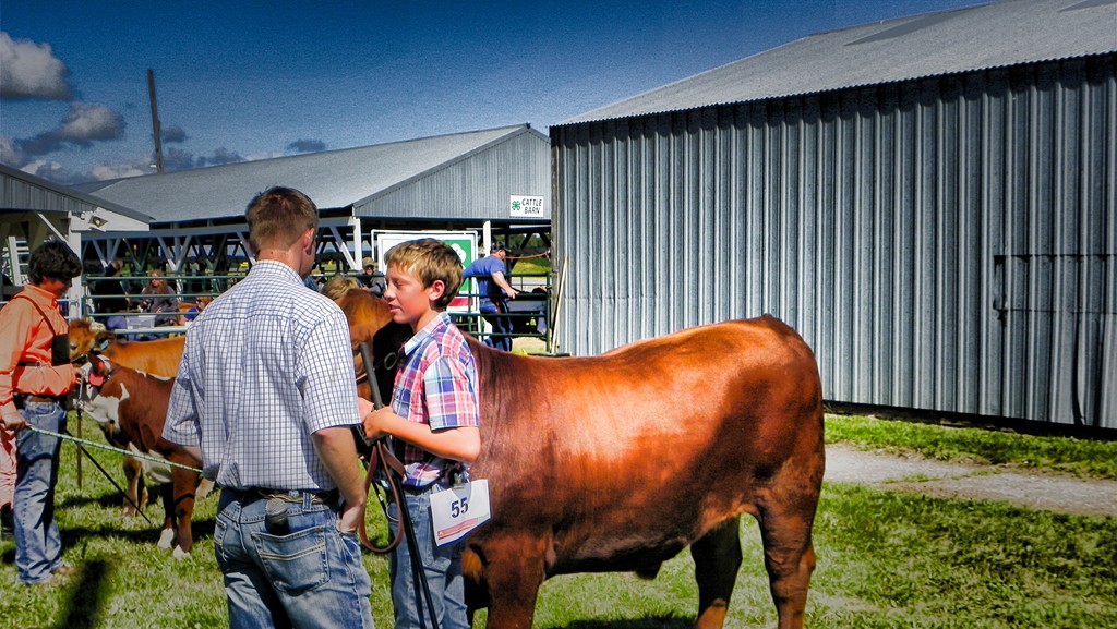 4-H Beef-23 – MNbump
